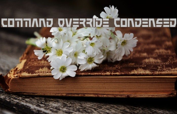 Command Override Condensed Font - FFonts.net