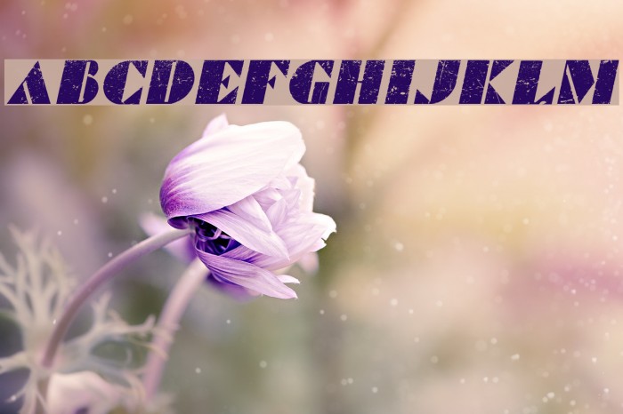 Commanders Grunged Italic Font - FFonts.net