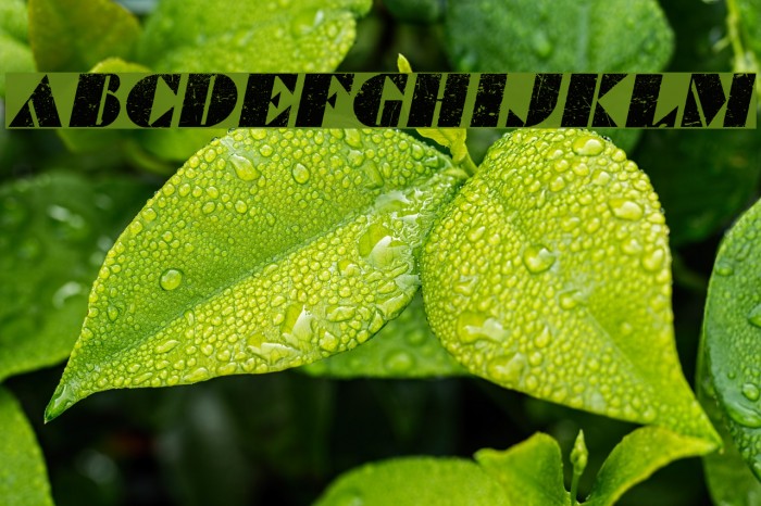 Commanders Grunged Italic Font - FFonts.net