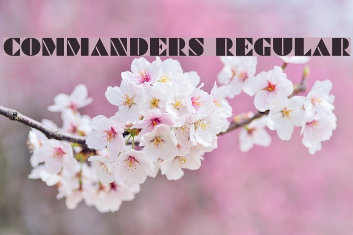 Commanders Regular Font - FFonts.net