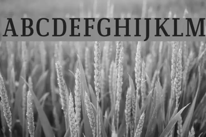 Communist Font - FFonts.net