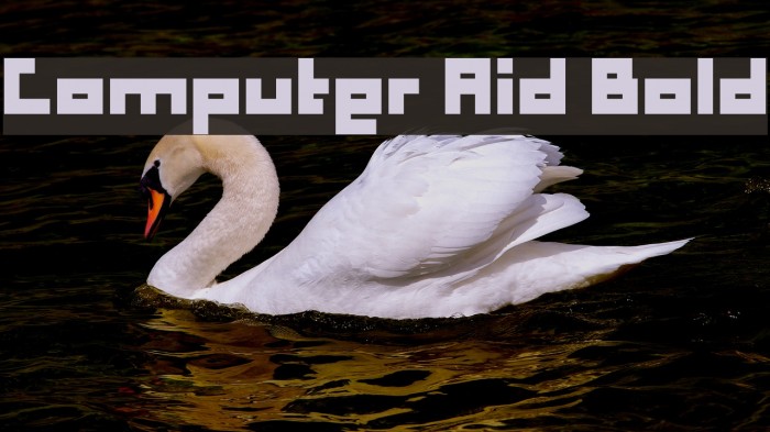 Computer Aid Bold Font - FFonts.net