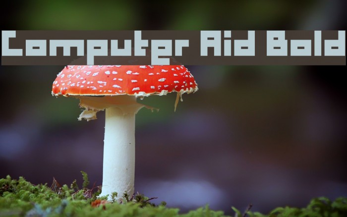 Computer Aid Bold Font - FFonts.net
