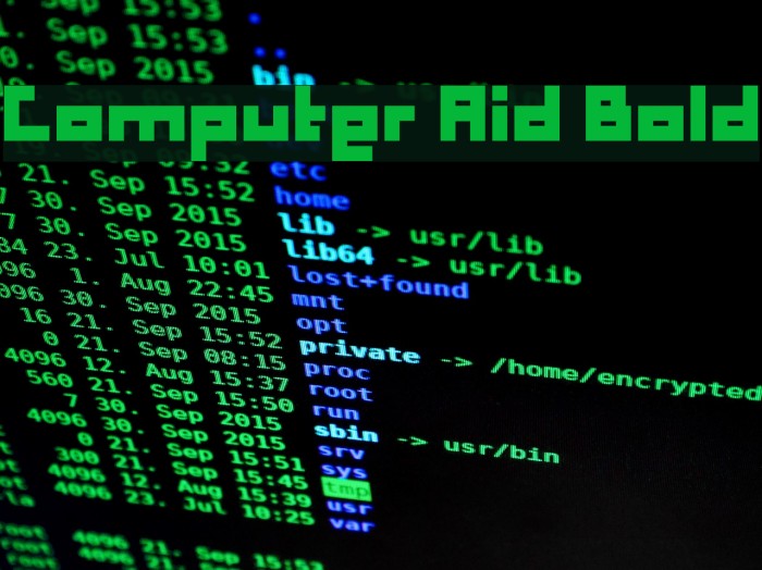 Computer Aid Bold Font - FFonts.net