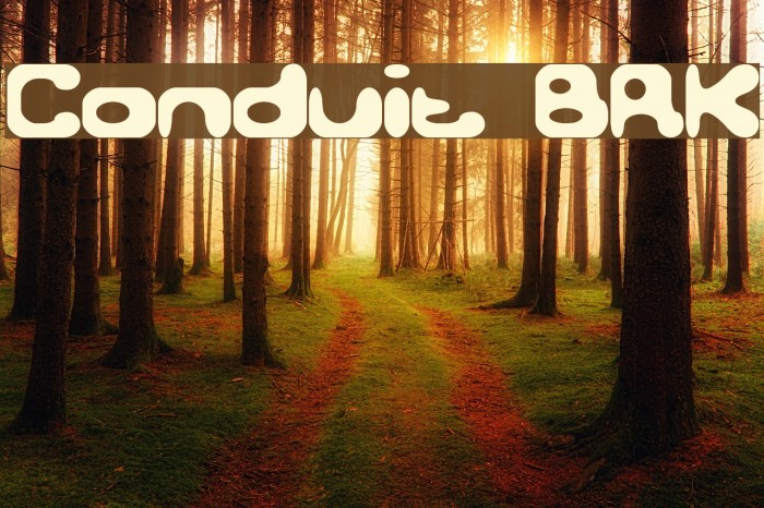 Conduit [BRK] Font - FFonts.net