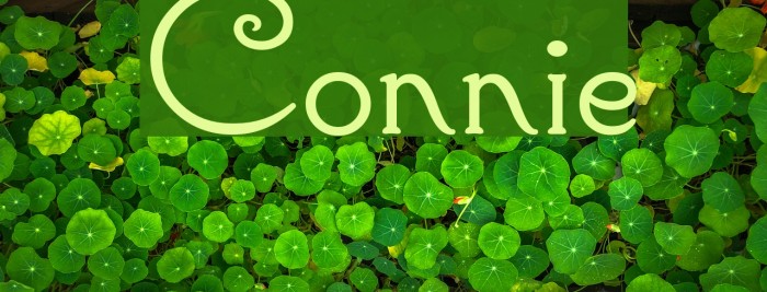 Connie Font - FFonts.net