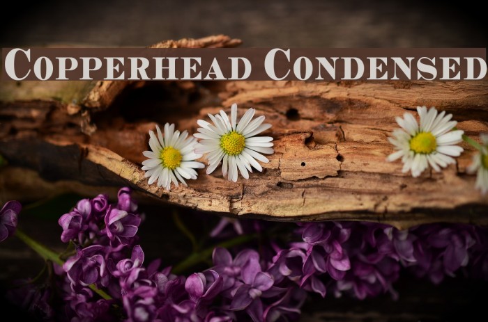 Copperhead Condensed Font - FFonts.net