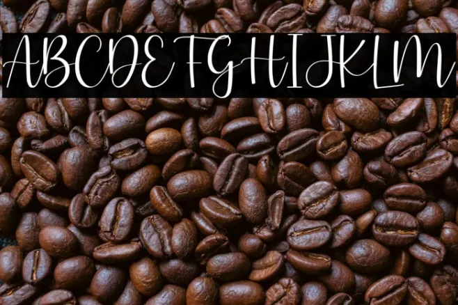 Cosette Font | Free Download (TTF/OTF) | FFonts.net