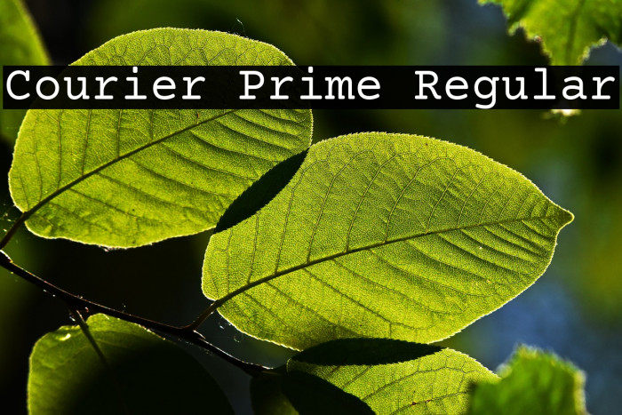 Courier Prime Regular Font - FFonts.net