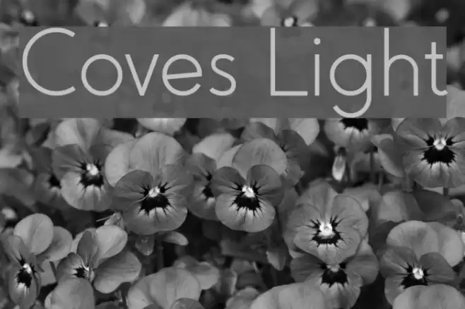 Coves Light Font - Free Download (TTF/OTF) | FFonts.net