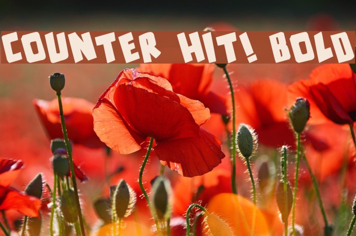 counter hit! Bold Font - FFonts.net