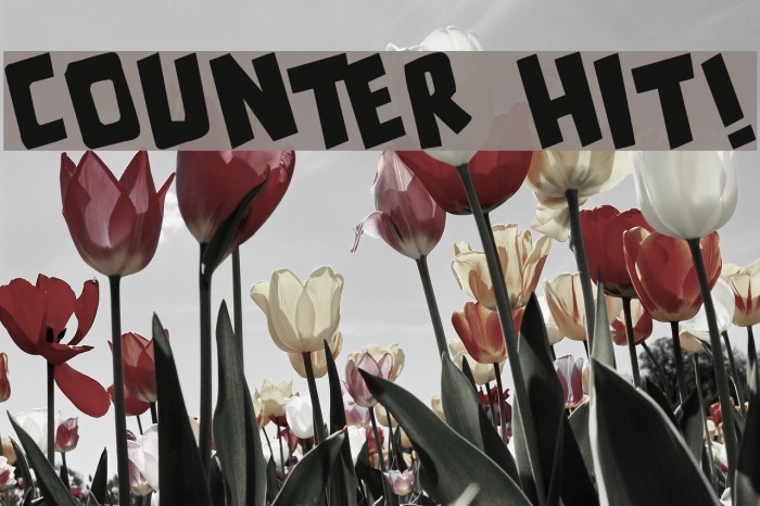 counter hit! Font - FFonts.net