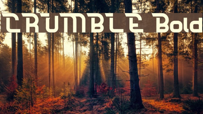 CRUMBLE Bold Font - FFonts.net