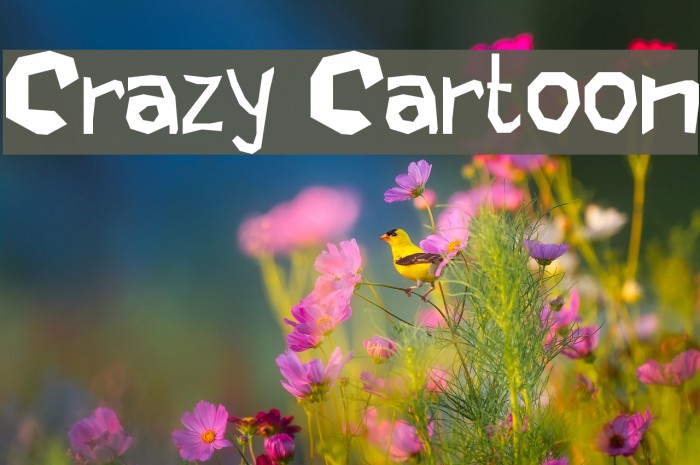 Crazy Cartoon Font - FFonts.net