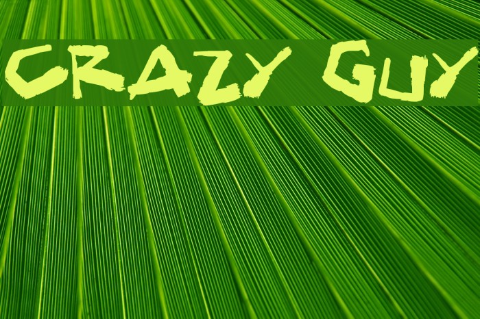 Crazy Guy Font - FFonts.net