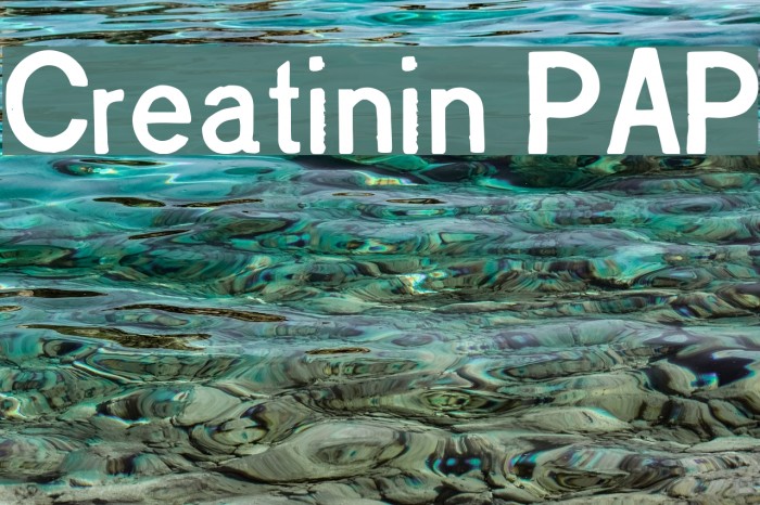 Creatinin PAP Font - FFonts.net