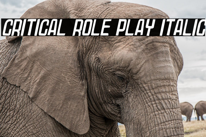 Critical Role Play Italic Font - FFonts.net