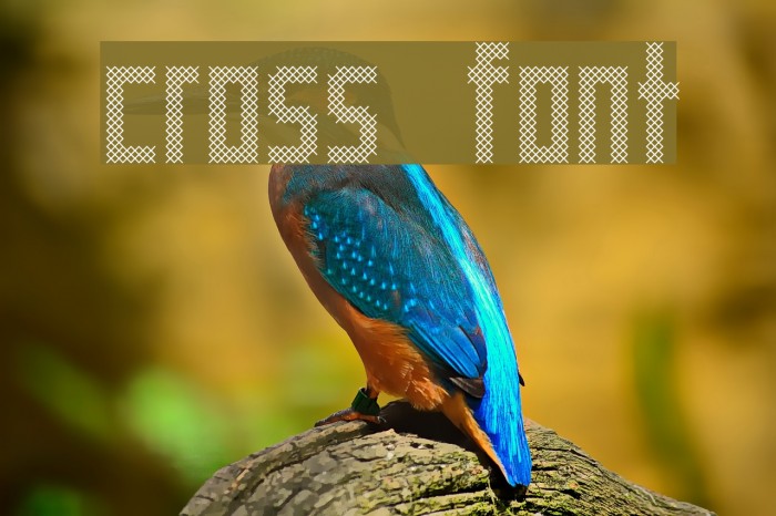 Cross Font - FFonts.net