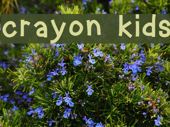 crayon kids Font - FFonts.net