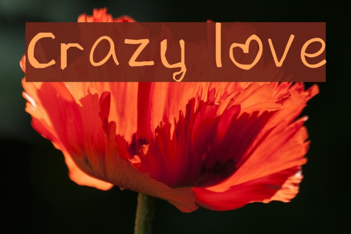 crazy love Font - FFonts.net