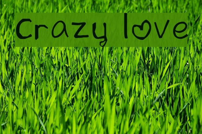 crazy love Font - FFonts.net
