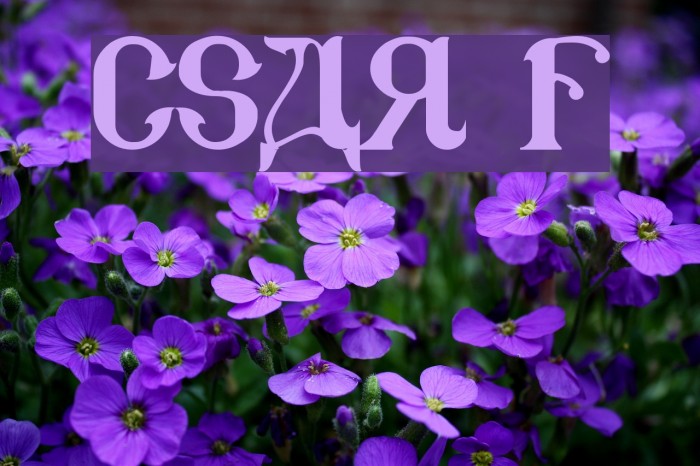 CSAR Font - FFonts.net