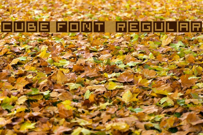 Cube Font Regular Font - FFonts.net