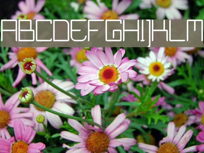 Curvature XD Font - FFonts.net