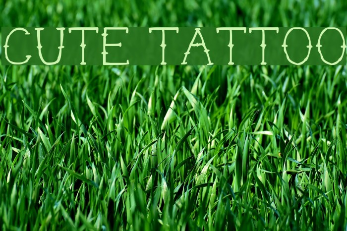 Cute Tattoo Font - FFonts.net