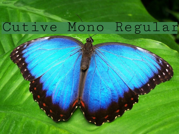Cutive Mono Regular Font - FFonts.net