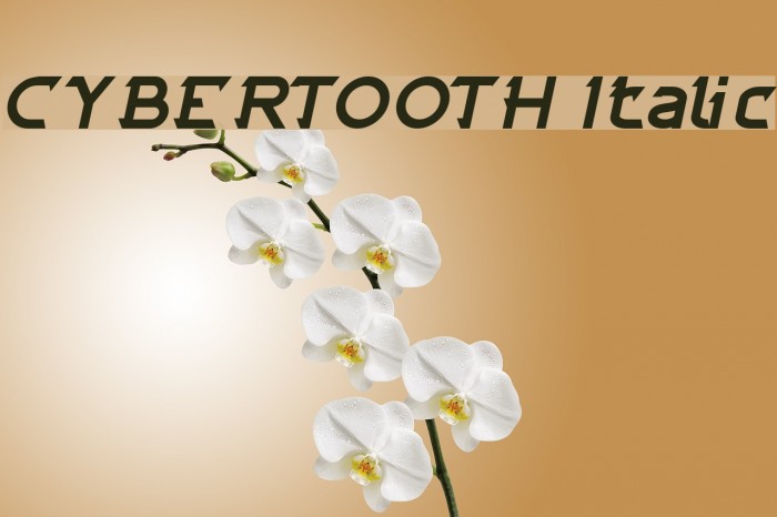CYBERTOOTH Italic Font - FFonts.net