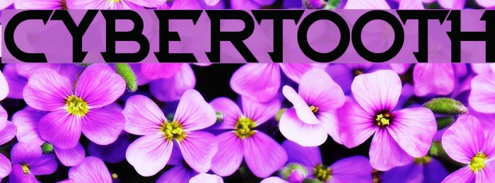 CYBERTOOTH Font - FFonts.net