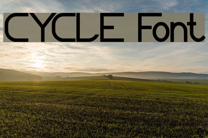 CYCLE Font - FFonts.net