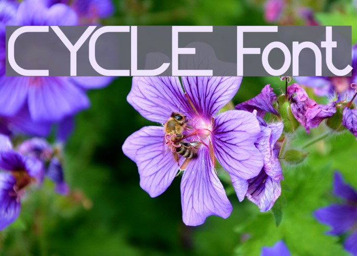 CYCLE Font - FFonts.net