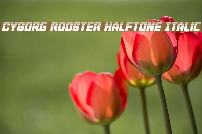 Cyborg Rooster Halftone Italic Font - FFonts.net