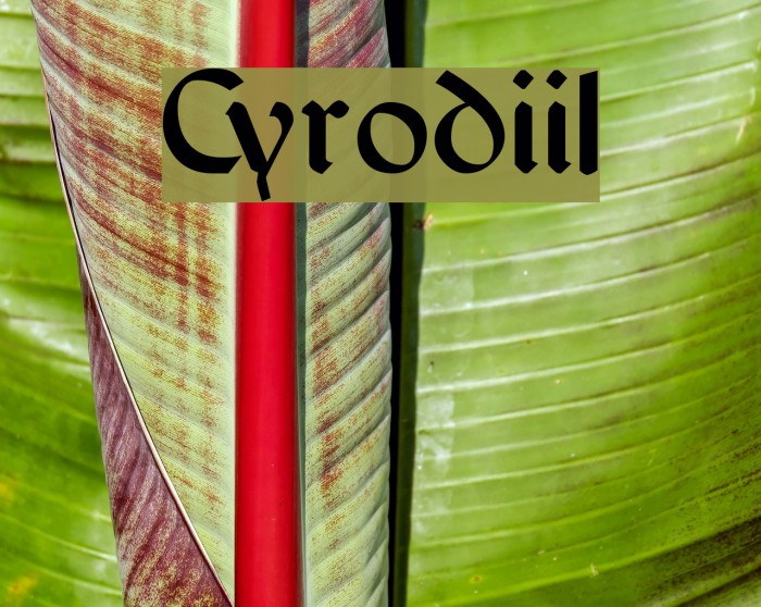 Cyrodiil Font - FFonts.net