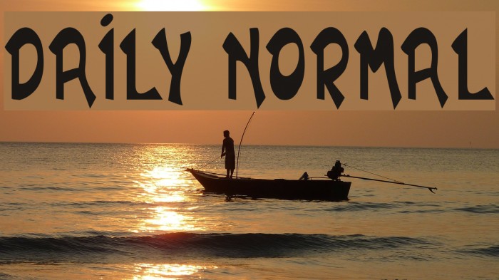 DAILY NORMAL Font - FFonts.net