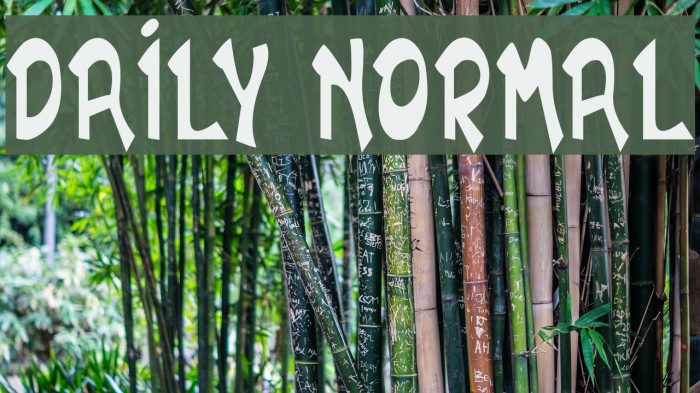 DAILY NORMAL Font - FFonts.net