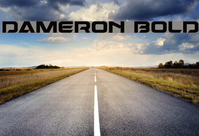 Dameron Bold Font - FFonts.net