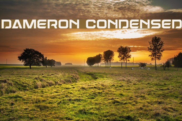 Dameron Condensed Font - FFonts.net