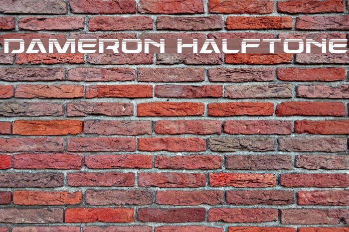 Dameron Halftone Font - FFonts.net