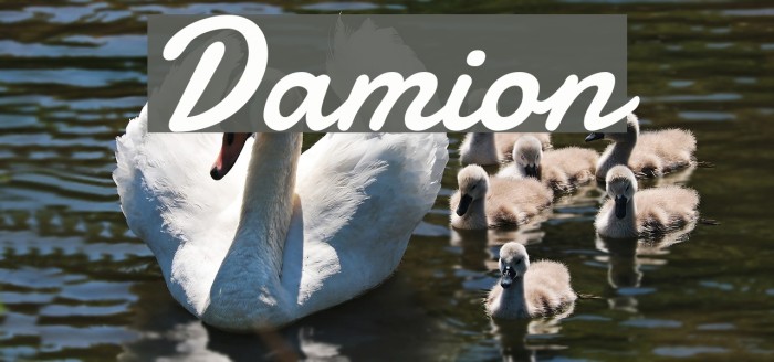 Damion Font - FFonts.net