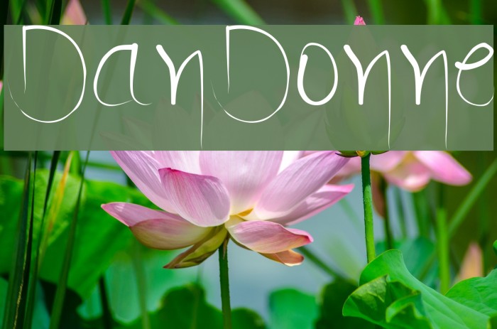 DanDonne Font - FFonts.net
