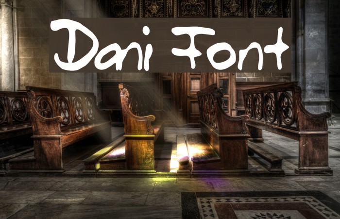 Dani Font - FFonts.net