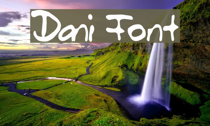 Dani Font - FFonts.net