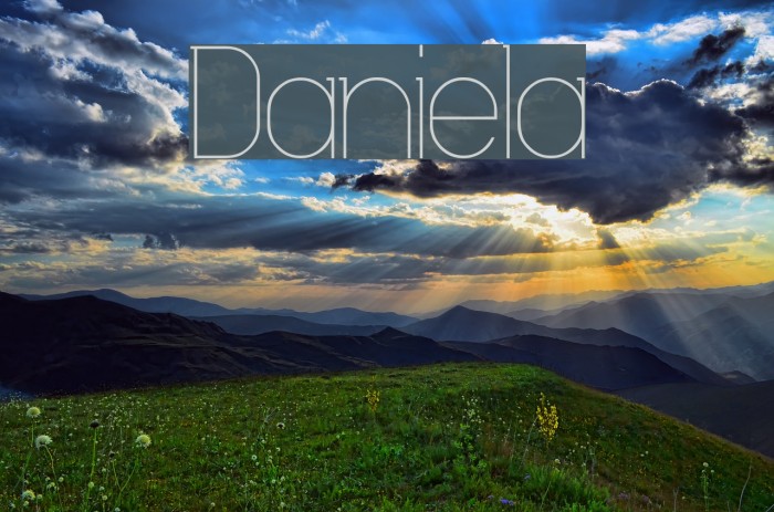 Daniela Font - FFonts.net