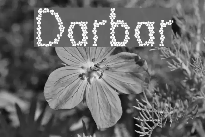 Darbar Font | Free Download (TTF/OTF) | FFonts.net