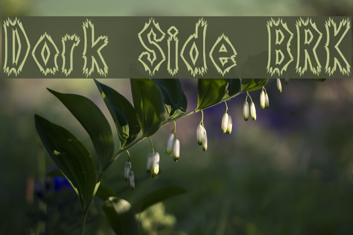 Dark Side [BRK] Font - FFonts.net