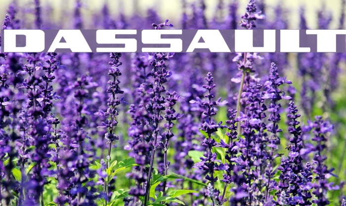 Dassault Font - FFonts.net