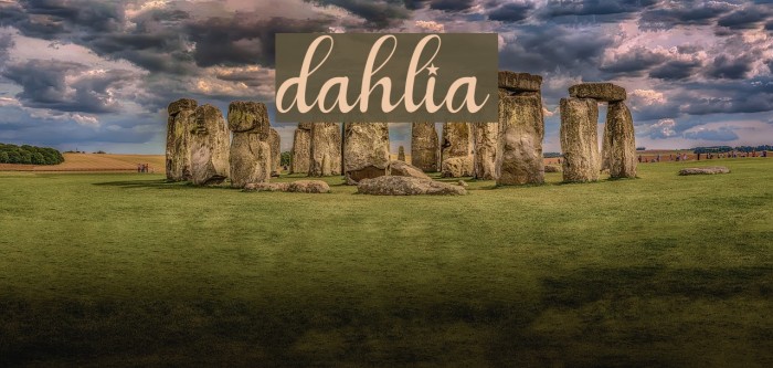 dahlia Font - FFonts.net
